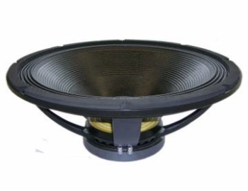 21 inch 55 cm Professionele subwoofer