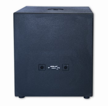 Passieve subwoofer 1000 Watt Max SUB915KJ