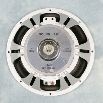Soundlab 12 inch Subwoofer 300 Watt 4 Ohm